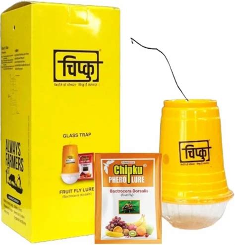 Pheromone Fruit Fly Trap 50 Pieces At ₹ 45piece In Ojhar Id