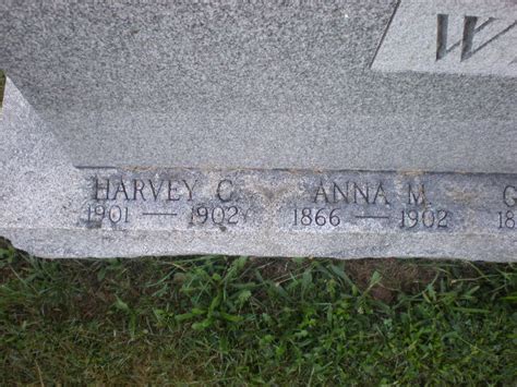 Anna Maria Rosenberger Weikel 1866 1902 Homenaje De Find A Grave