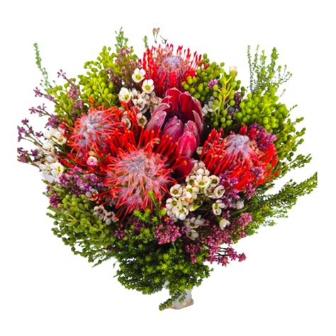 Pin Mix Groenigheid