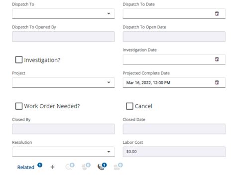 Service Request Panel Fields