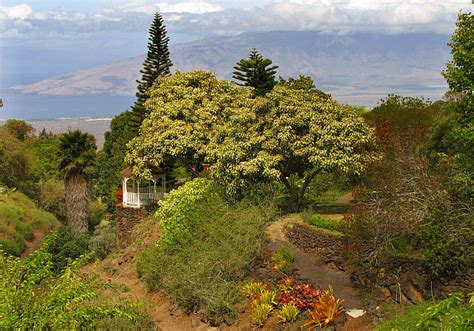 Kula Botanical Garden Maui Hawaii Only In Hawaii