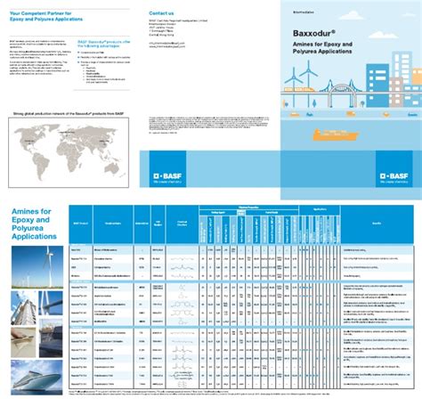 Basf Amines For Epoxy And Polyurea Applications Asian Pdf