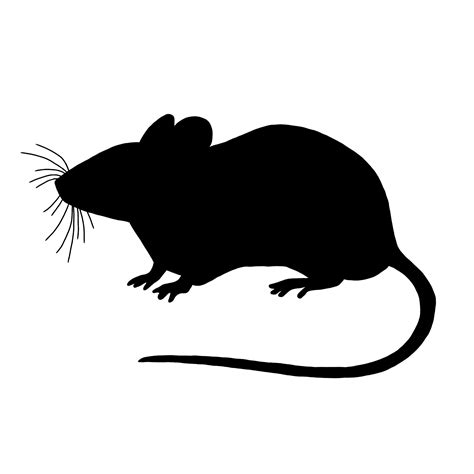 Black Mouse Mouse Illustration Mouse Clip Art 44315214 Png