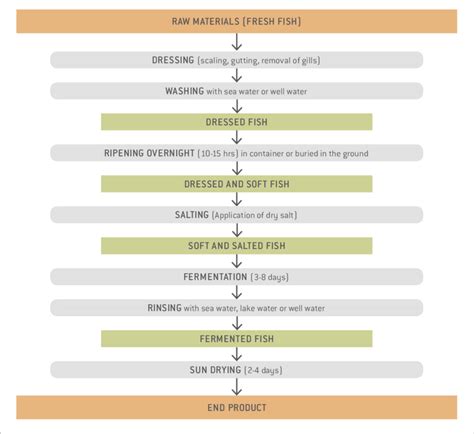 Flow Diagram For Traditional Processing Of Fermented Fish Products In