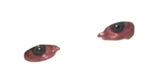Crying Eyes Meme