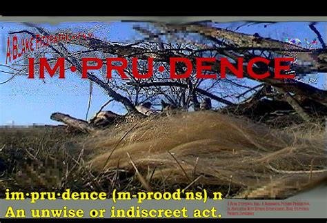 Imprudence