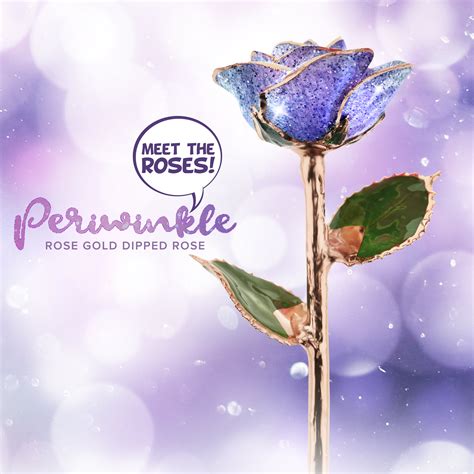 New Periwinkle Rose Gold Rose Steven Singer Jewelers