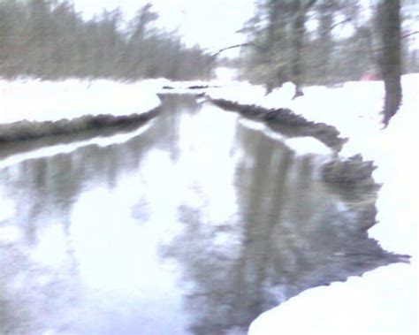 Level 7 Code Solver Apeirophobia Resources