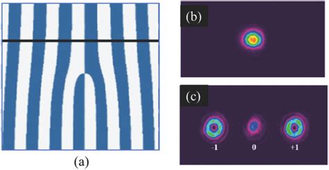Schematic Drawing Of A Fork Grating Electrode With M 1 Recorded Download Scientific Diagram