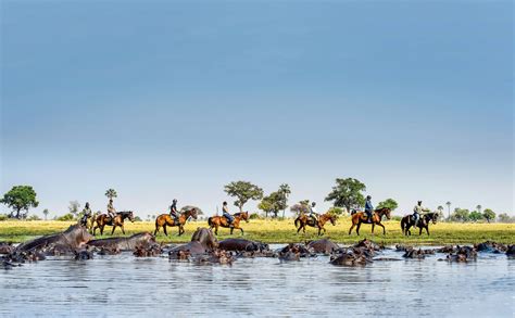 Okavango Delta Safari Voyage Carte Plan