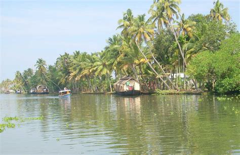Kuttanad Alleppey Kerala The Rice Bowl Of Kerala Holidify
