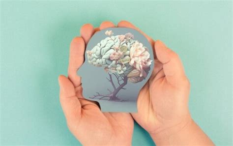 Universal Needs Of The Human Being