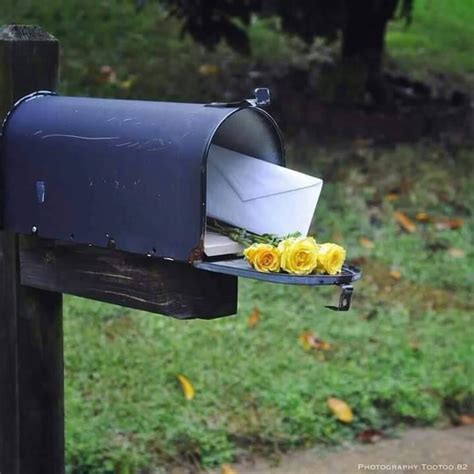 ناما ئه فينيئ