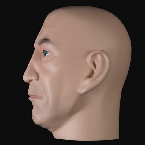Male Mannequin Head