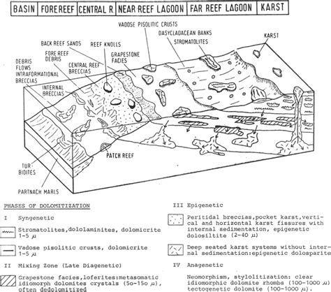 O Schematic Block Diagram Illustrating The Different Facies And