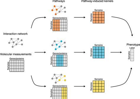 Latest Open Source Machine Learning Tools To Fight Cancer Marktechpost