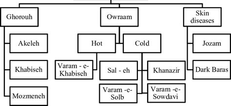 Classification Of Skin Malignancies From The Viewpoint Of Pm Download