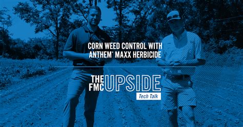 Corn Weed Control With Anthem® Maxx Herbicide Fmc Ag Us
