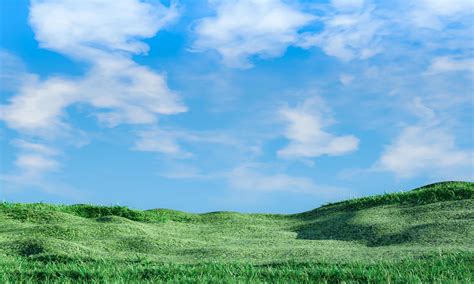 Blue Sky And Beautiful Cloud With Meadow Tree Plain Landscape