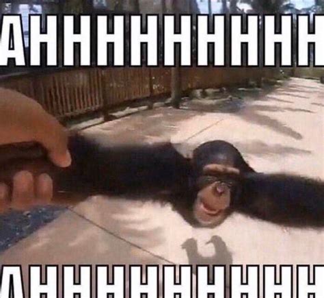 Veronica Playing With Chris Roneyplays