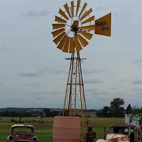 Pin By Debra Tucker On Windmill Just Love Them Windmill Pretty