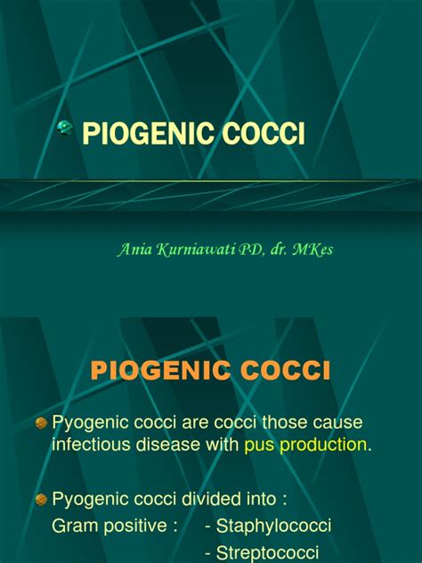 Piogenic Cocci Ania Kurniawati Pd Dr Mkes Pdf Staphylococcus