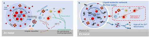 Hydrated Eutectic Electrolytes Help Improve Performance Of Aqueous Zn