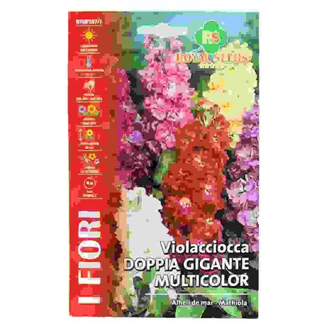 Buy Royal Seeds Double Giant Multicolor Matthiola Seed Pack 0 25 G Online In Dubai And The Uae Ace