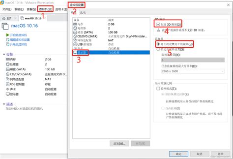 优化vmware虚拟机里的macos系统 beamoff下载 csdn博客