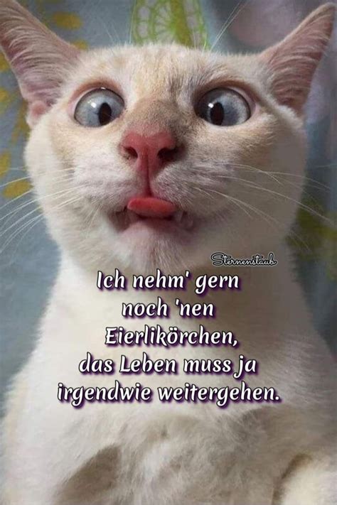 Pin Von Hermi Holub Auf Gedanken In 2024 Katzen Lustige Sprüche Lustige Katzenbilder Freitag
