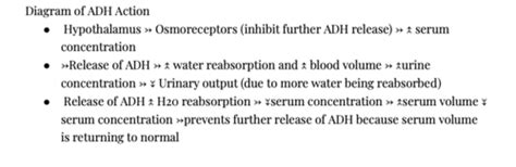 Electrolytes Pathophysiology Flashcards Quizlet