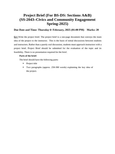 Project Brief Guidelines And Rubrics Ds Pdf Human Communication