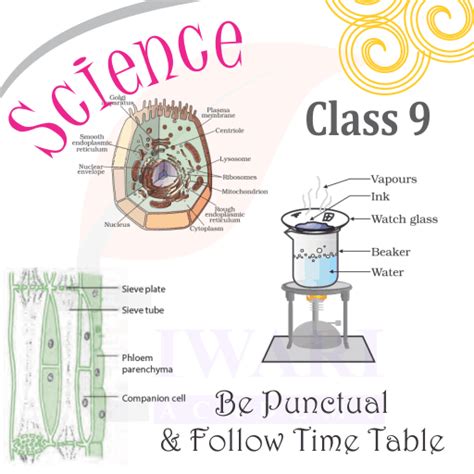 Science Subject 9th Class
