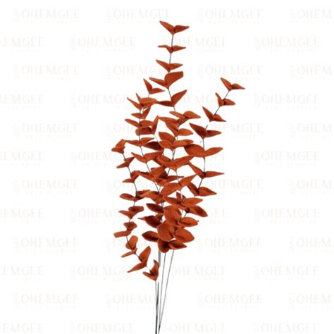 Eucalyptus ‘dried 6 Stems Oh Em Gee Felt Florist