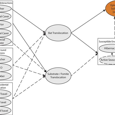 Bat‐mediated Pathogen Movement Sub‐diagram A Within Season Movement