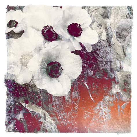 Poppy Love Danielle Wright