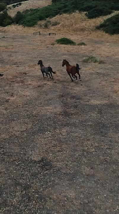 [video] Vanessa Comley On Linkedin The Teaser To Our Story ️ Thank You Karim Boktor And Neil