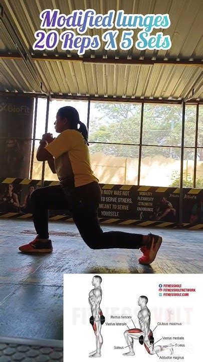 Modified Lunges Hitforfit8672 Youtube