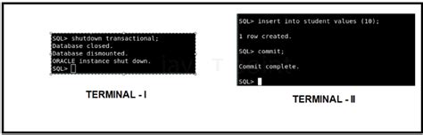 Oracle Database Shutdown Procedure Tpoint Tech