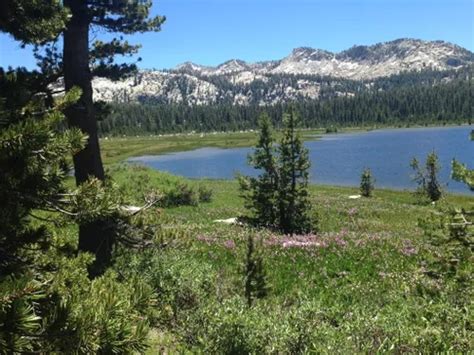 10 Best Trails And Hikes In Shaver Lake Alltrails