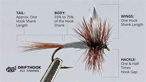 Identify A Dry Fly Hooks To Hackle