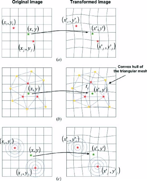 Different Mapping Functions Considered In This Paper A Polynomial