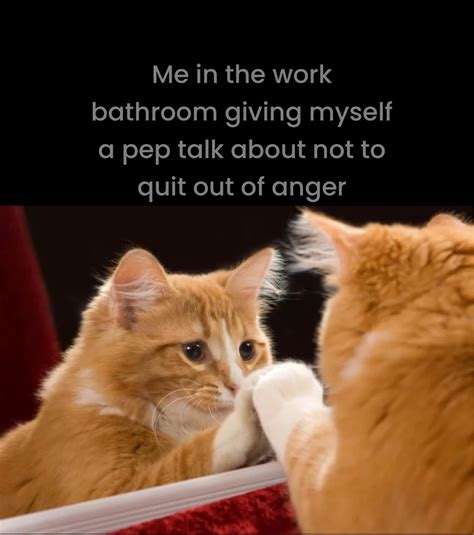 Co Worker Quote Of The Co Worker Quote Of The Day