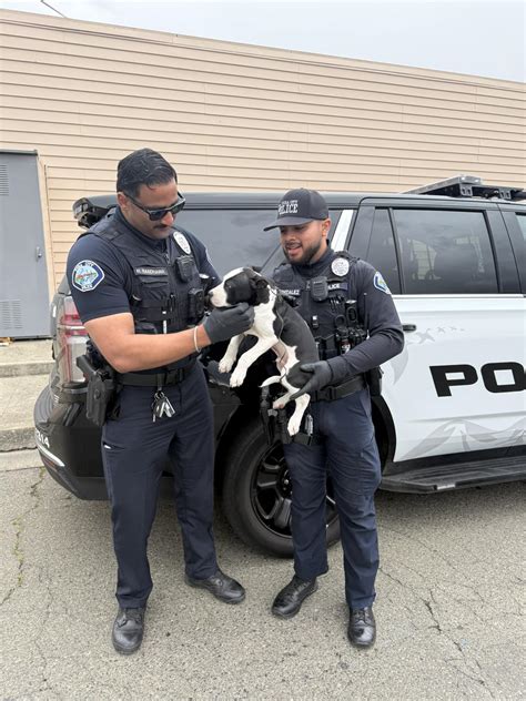 Yuba City Police Department Yuba City Police Department