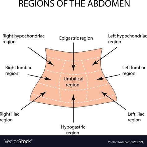 Left Hypochondriac Region