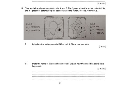 2 Marks B Diagram Below Shows Two Plant Cells A And B The Figures