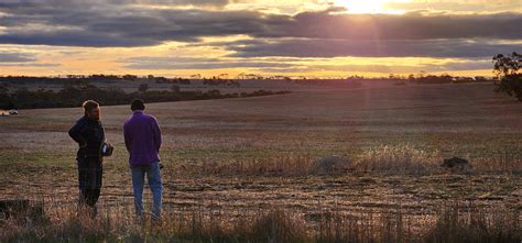 Vale Thom Scott Trillion Trees President