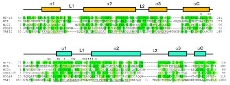 Sequence Alignment Of Nf Yb And Nf Yc With Hfd Proteins The Nf Yb