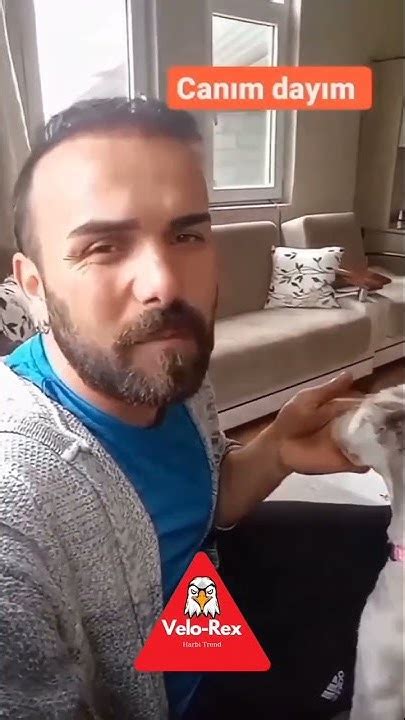 Dayı Dayı Dallıyım Youtube