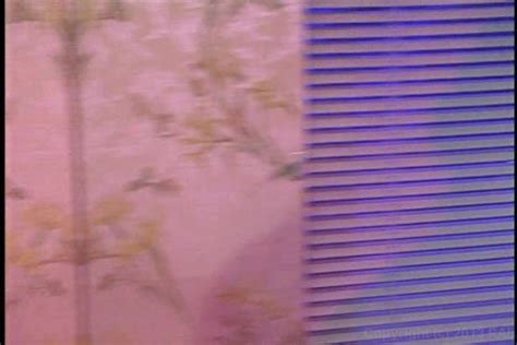 Pointing North 1997 Adult Empire